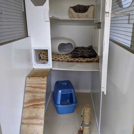 Animal Medical Centre I Our cat hotel in Cricklewood