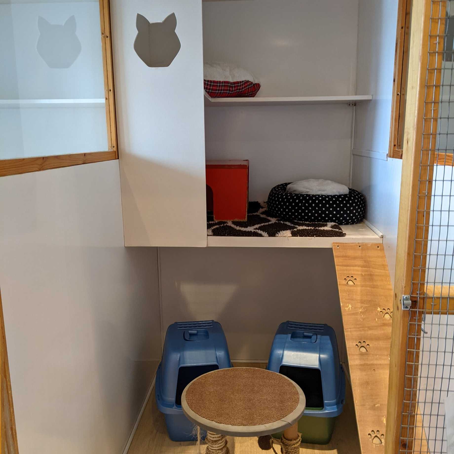Animal Medical Centre I Our cat hotel in Cricklewood
